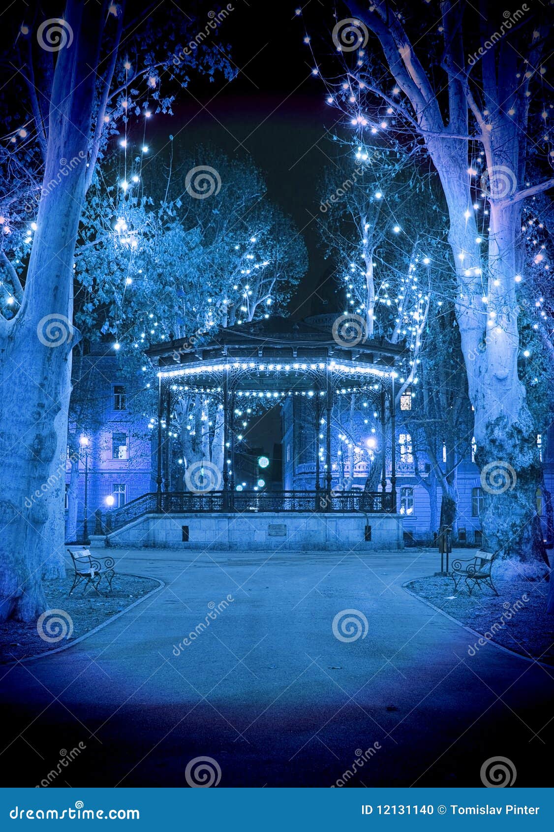 Cold blue Christmas night stock photo. Image of walk - 12131140