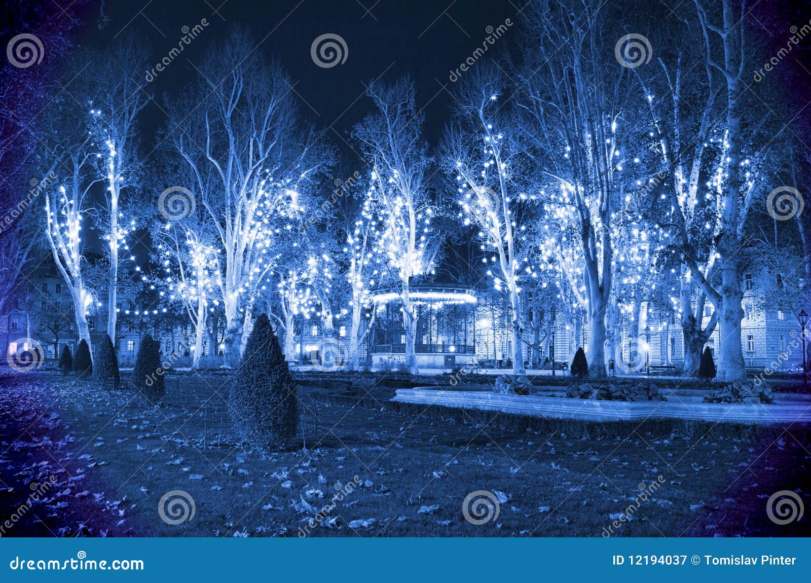 Cold blue Christmas night stock image. Image of spirit - 12194037