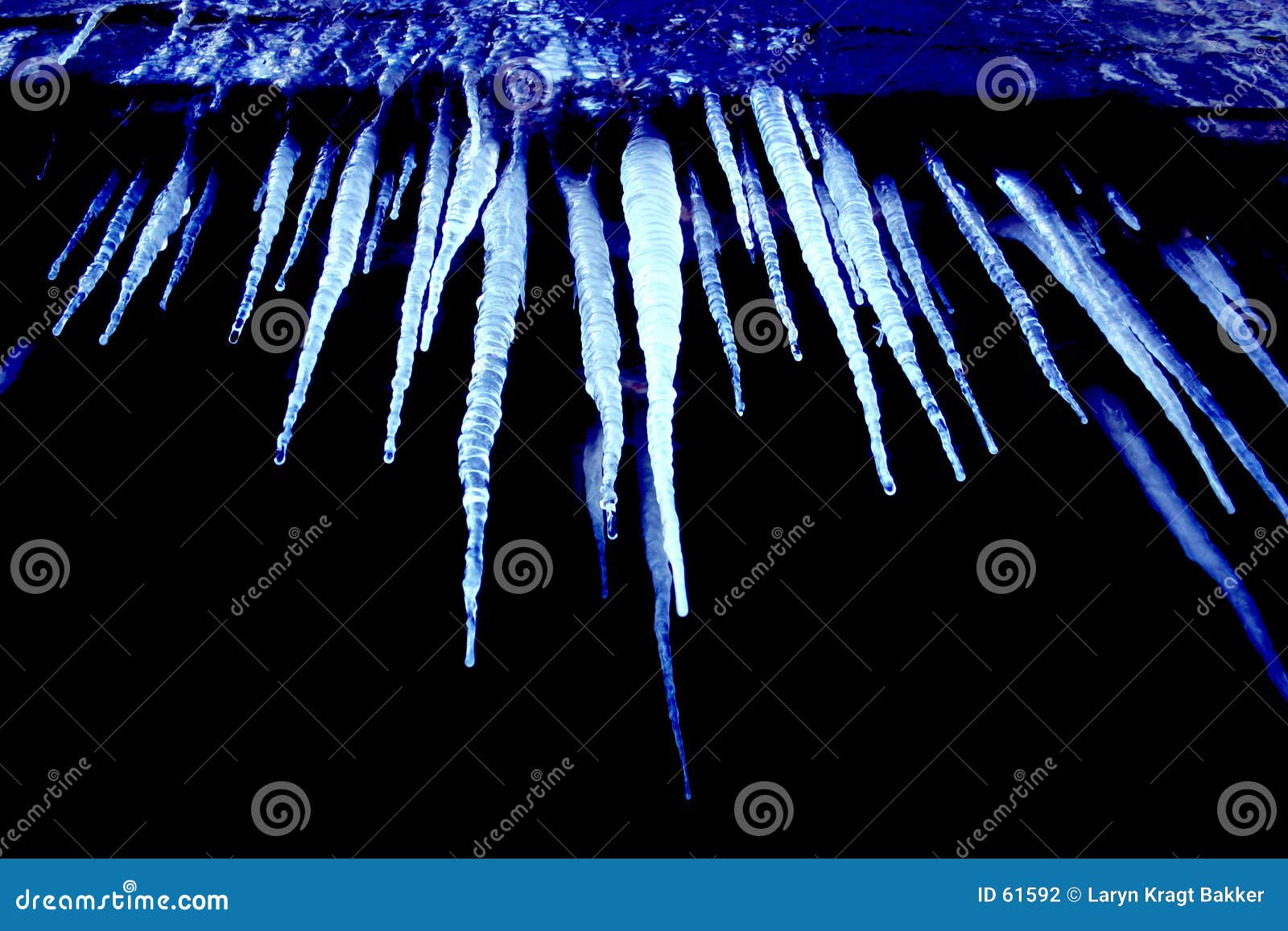 Cold blue icicles stock photo. Image of rain, freeze, frigid - 61592