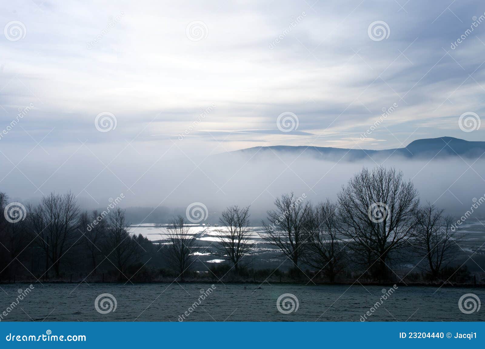 Cold Blue Morning Mist stock photo. Image of freezing - 23204440