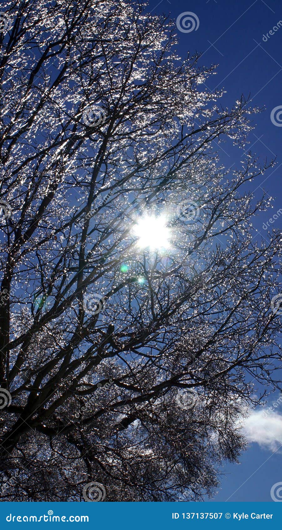 Blue sky stock image. Image of nature, cold, bright - 137137507
