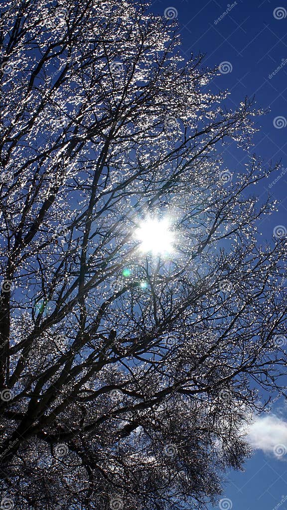Blue sky stock image. Image of nature, cold, bright - 137137507