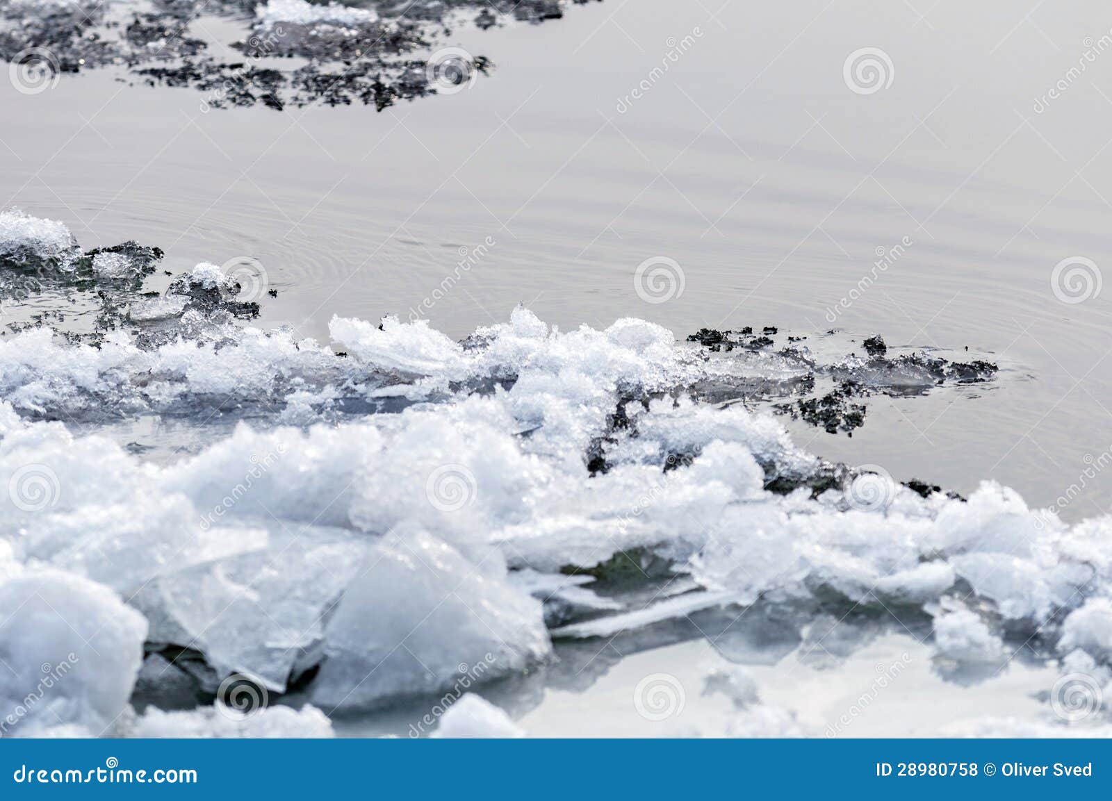 Cold Chilly Ice on the Water Stock Photo - Image of crystal, freeze ...