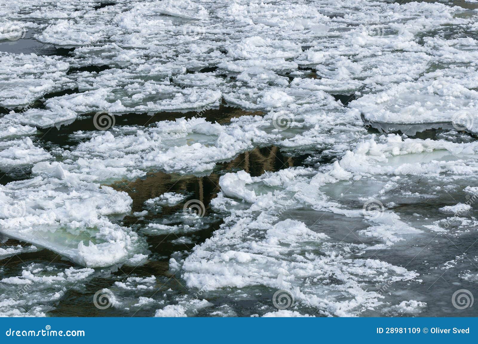 Cold Chilly Ice on the Water Stock Image - Image of slippery, crystal ...