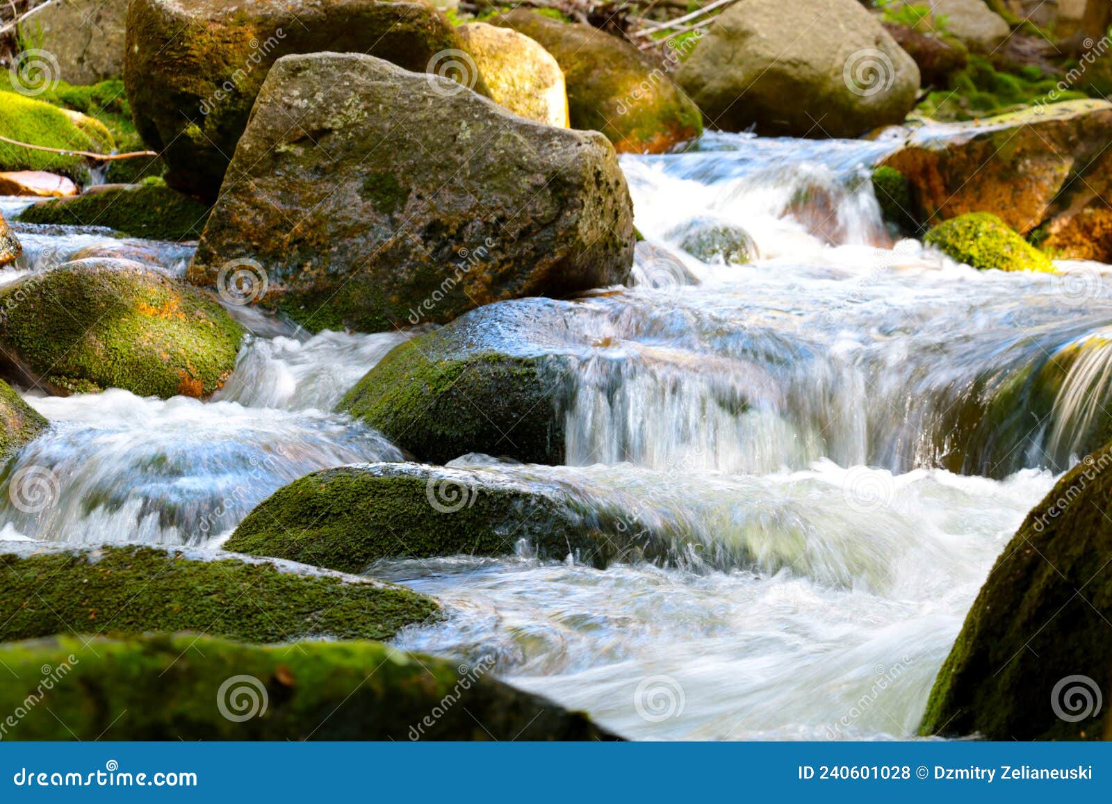 Cold Clean Water Flows through the Rocks in the Forest. Stock Photo ...
