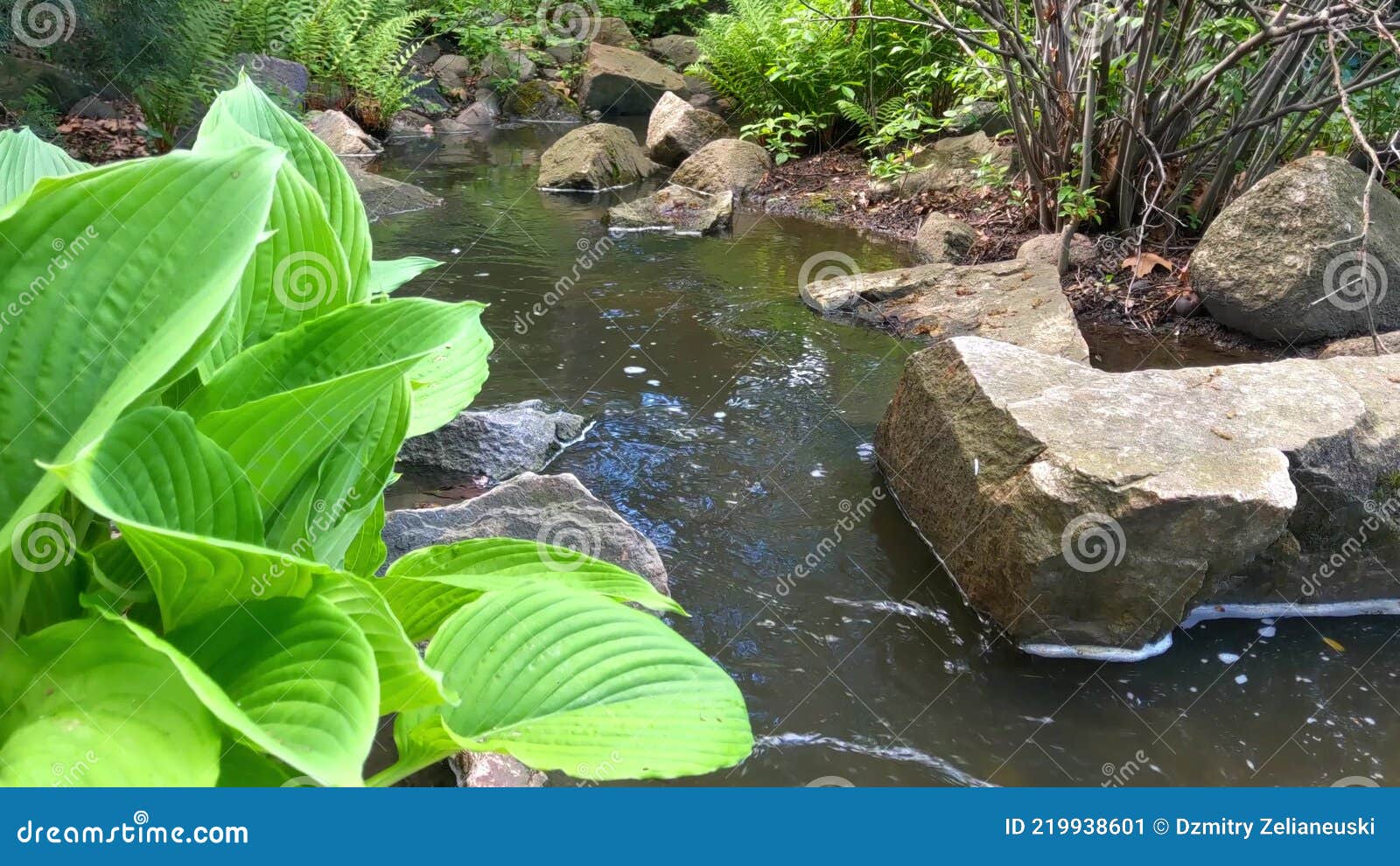 Cold Clear Water Flows Down into the Park Stock Video - Video of motion ...