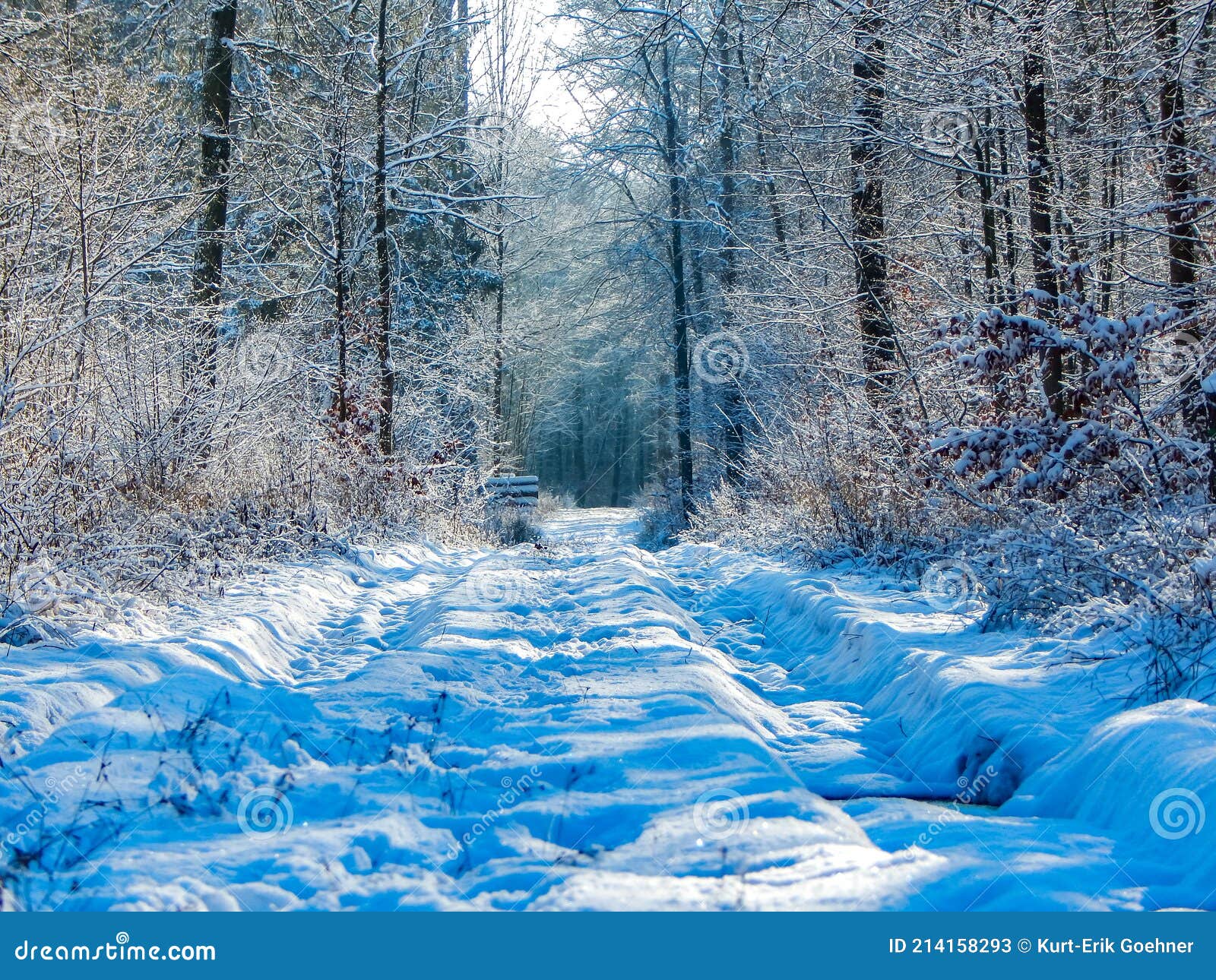 Cold Clear Weather in Winter in Northern Germany Stock Image - Image of ...