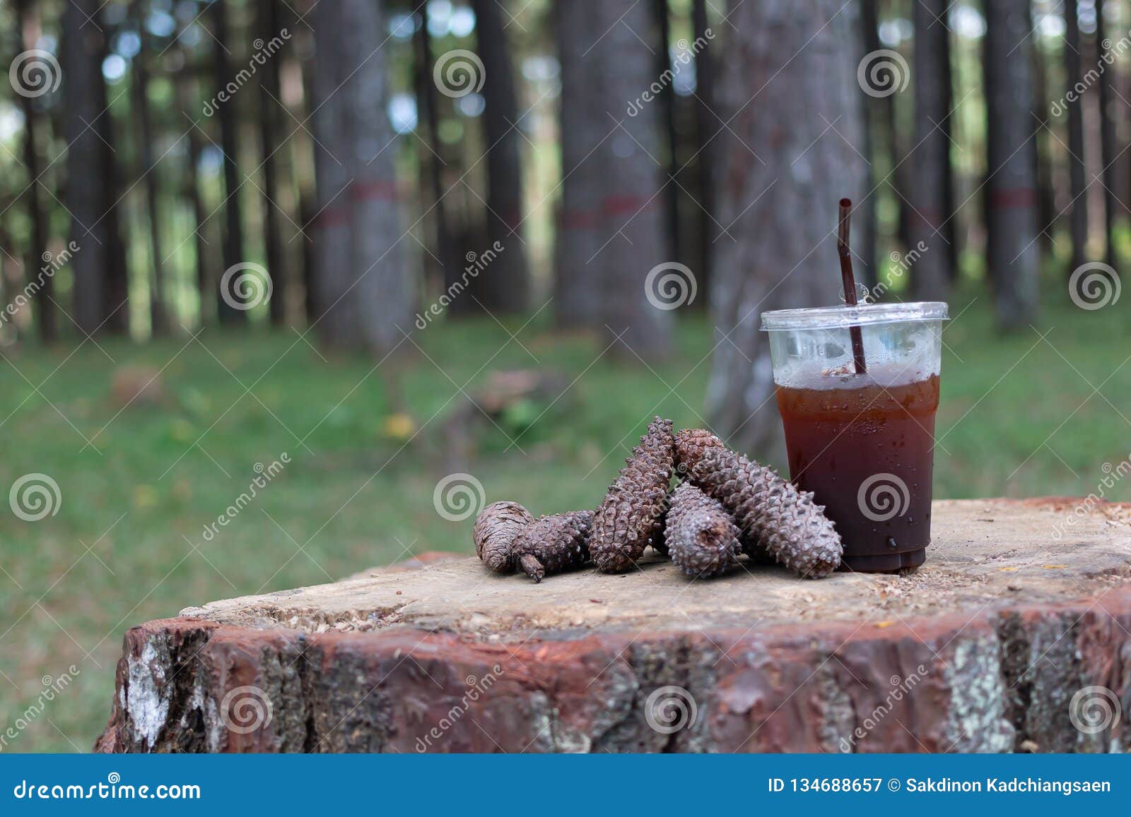 Cold Coffee and Pine Seed on Timber Stock Image - Image of jungle ...