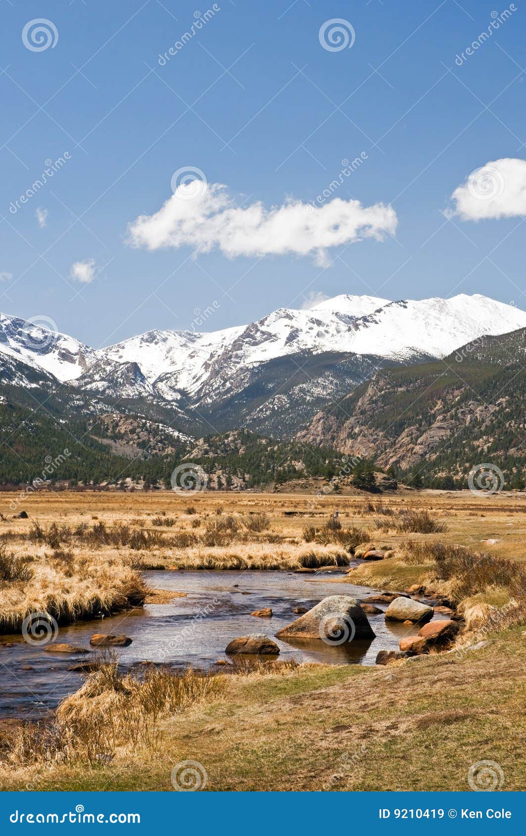Cold Colorado Mountain Stream Stock Image - Image of blue, beautiful ...