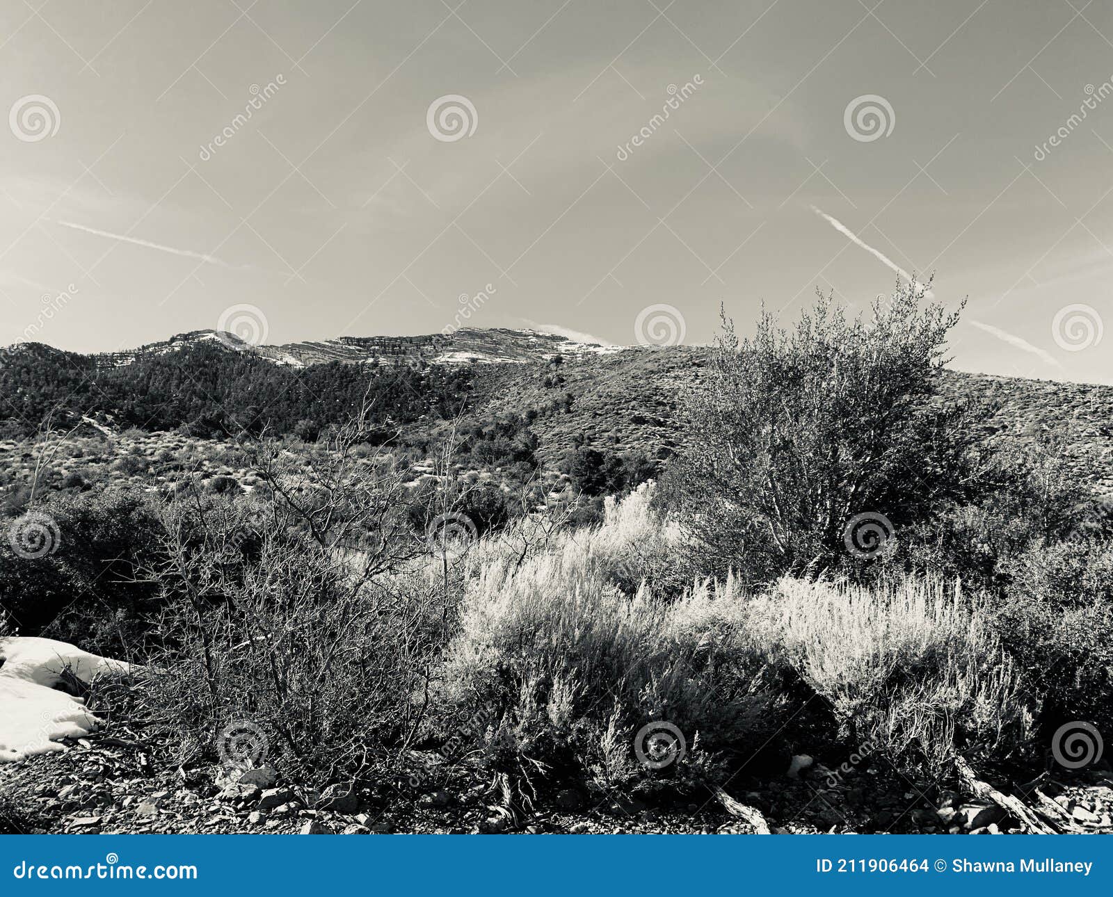 Cold creek stock photo. Image of vegas, creek, nevada - 211906464