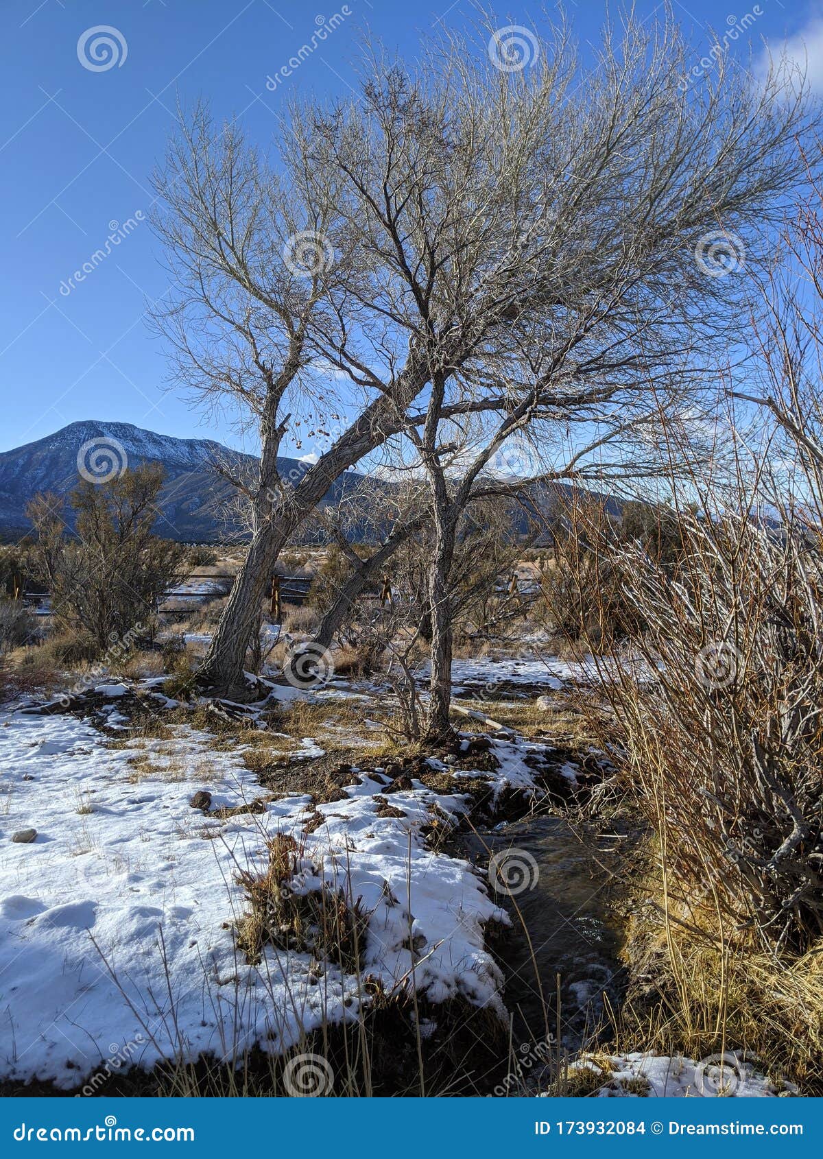Cold Creek, Nevada & X28;scenery& X29; Stock Photo - Image of landscape ...