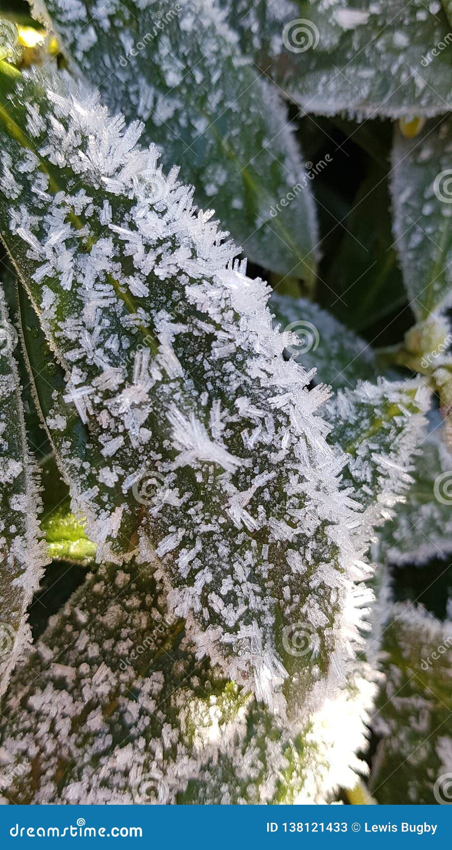 Cold crystals stock image. Image of freeze, winter, cold - 138121433