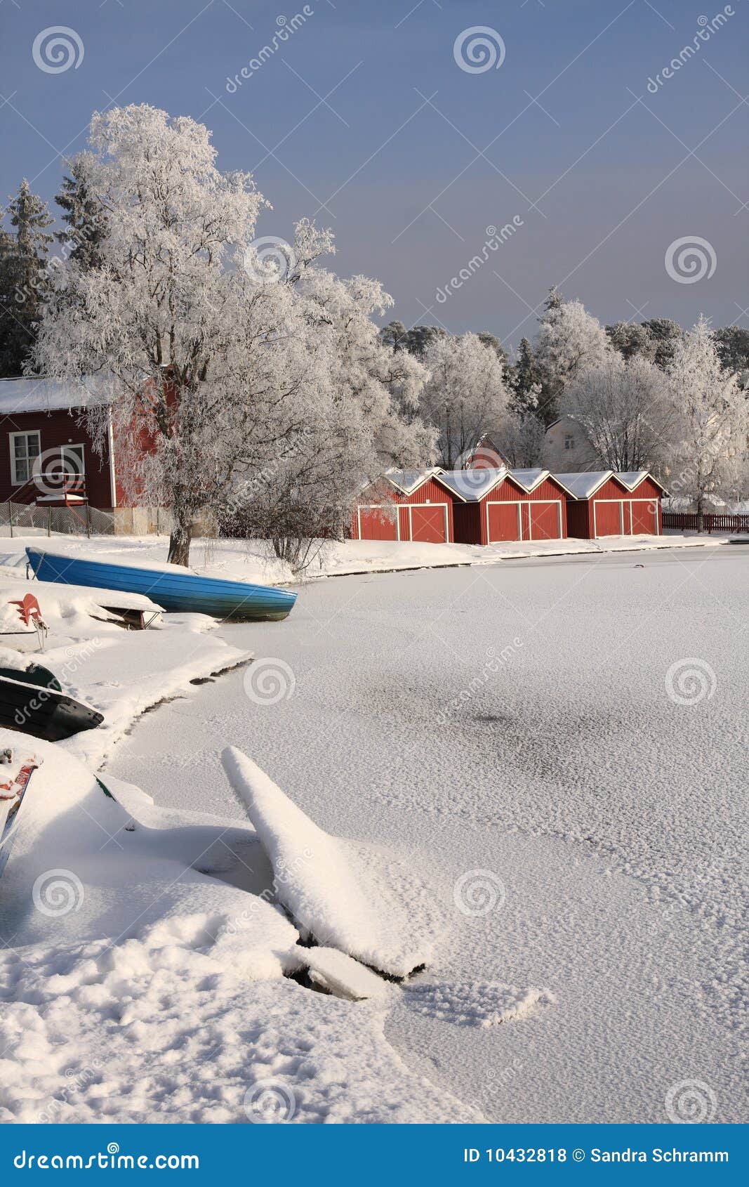 Cold day stock photo. Image of white, outdoor, view, mist - 10432818