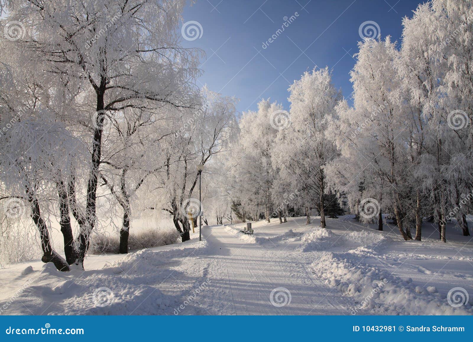 Cold day stock image. Image of snow, water, cold, season - 10432981