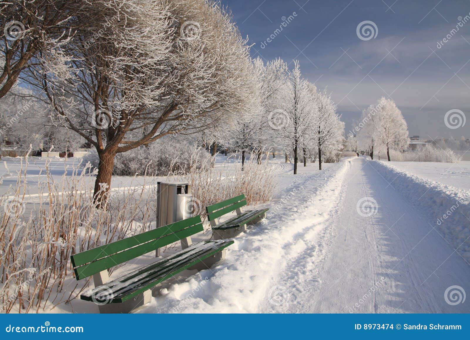 Cold day stock photo. Image of snow, scenery, outdoor - 8973474