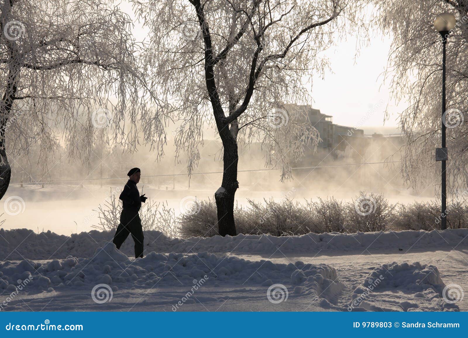 Cold day stock image. Image of nature, blue, season, bridge - 9789803
