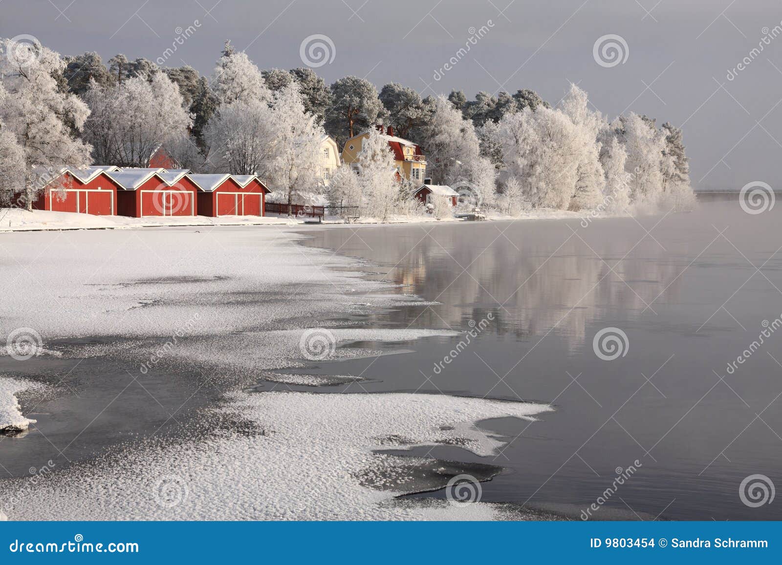 Cold day stock photo. Image of snowscape, cool, scenery - 9803454