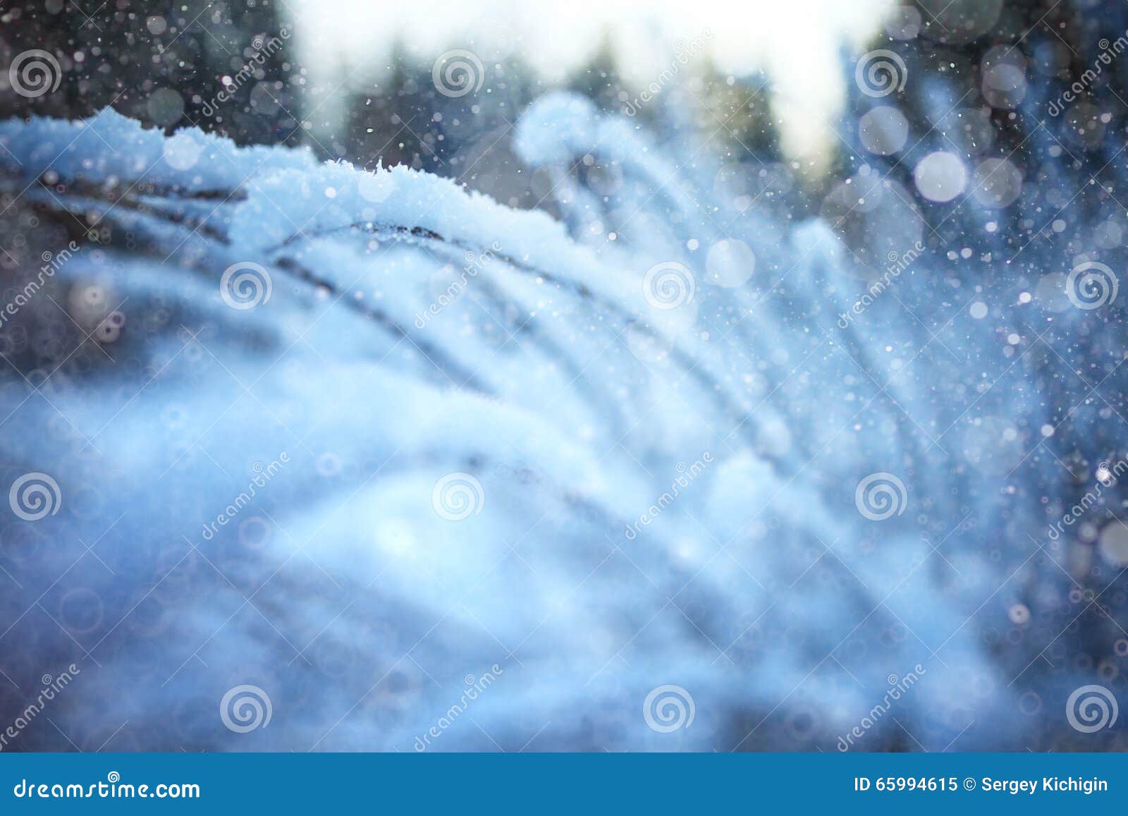 Cold day frost grass stock image. Image of europe, mountains - 65994615