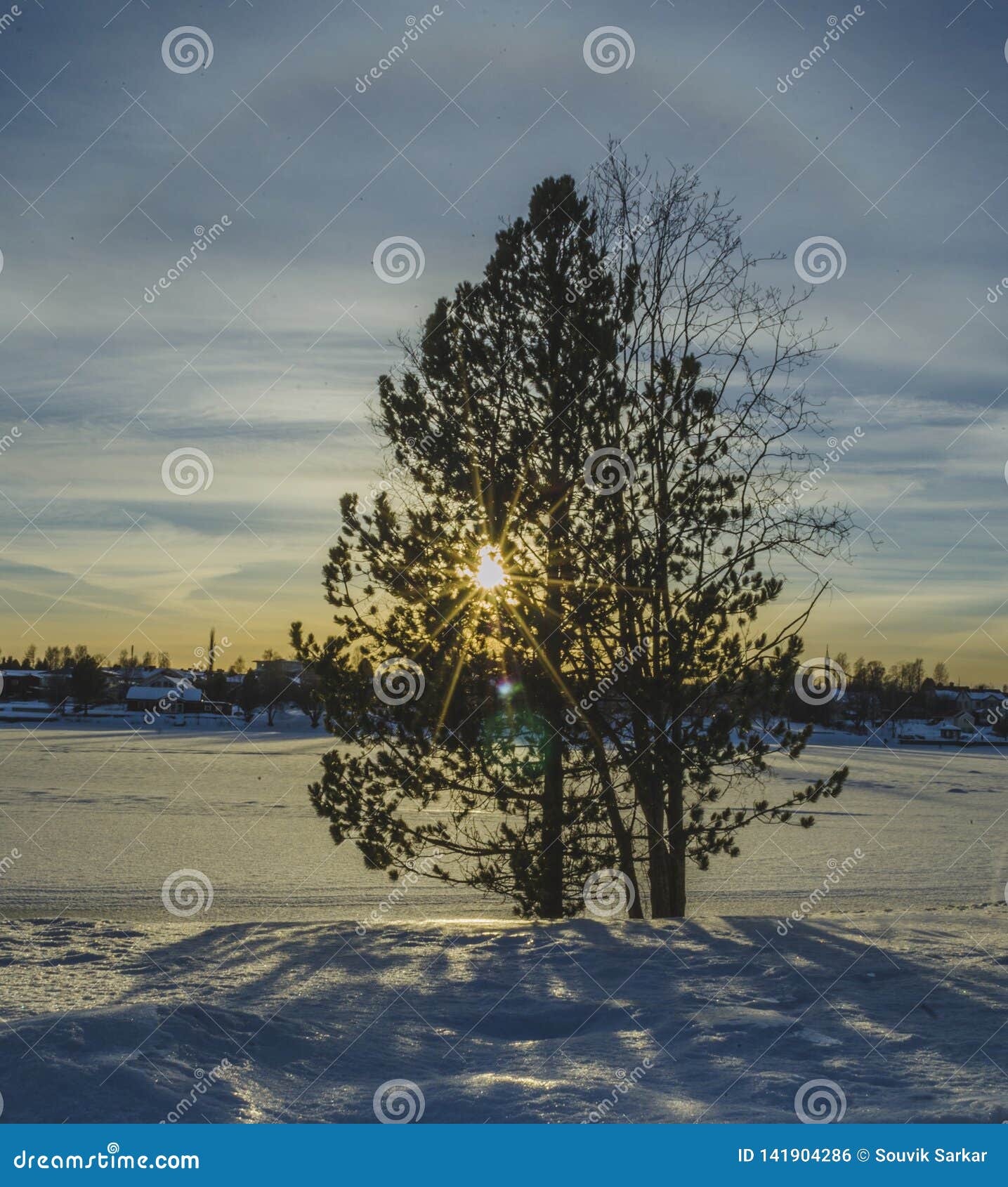 Cold Day in a Frozen Riverside with Sunflares through the Tree Stock ...