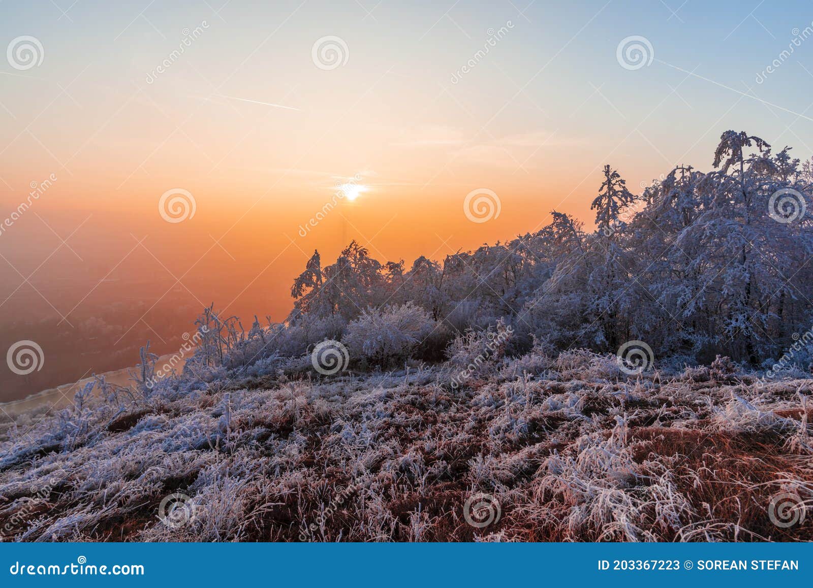 Cold Day in the Winter Inside of the Forest Stock Image - Image of park ...