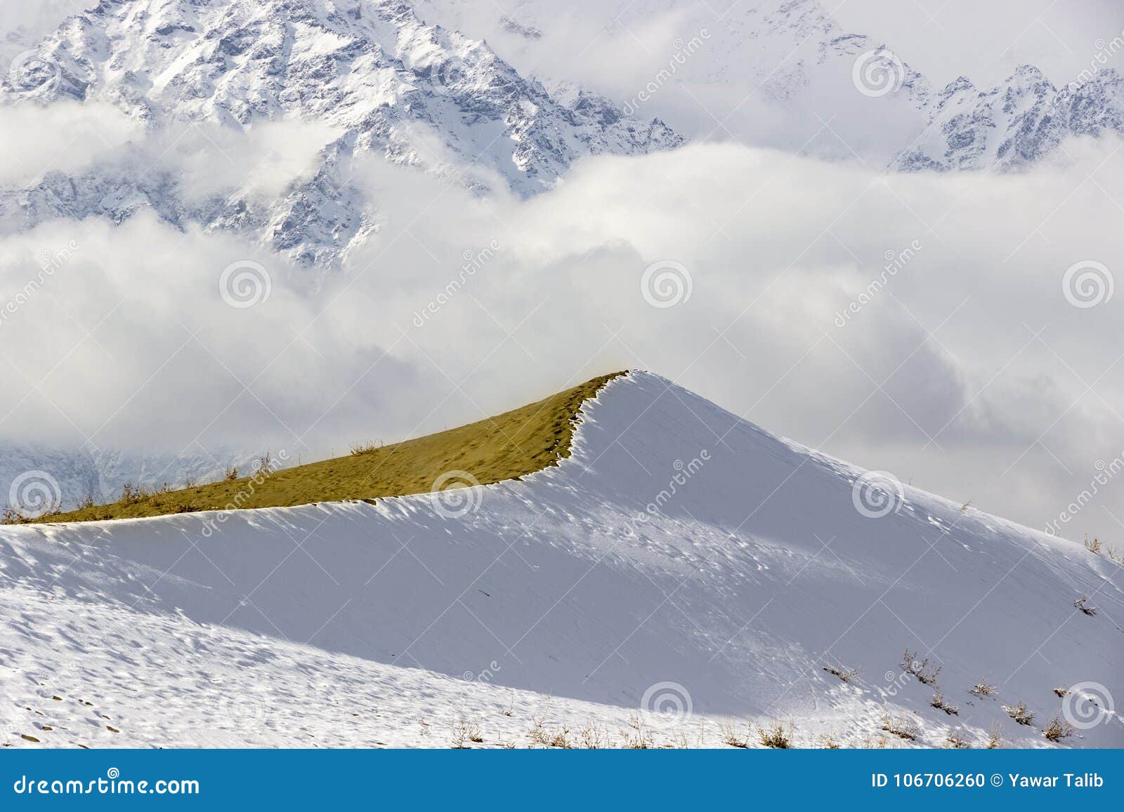Cold Desert stock photo. Image of desert, fresh, cold - 106706260