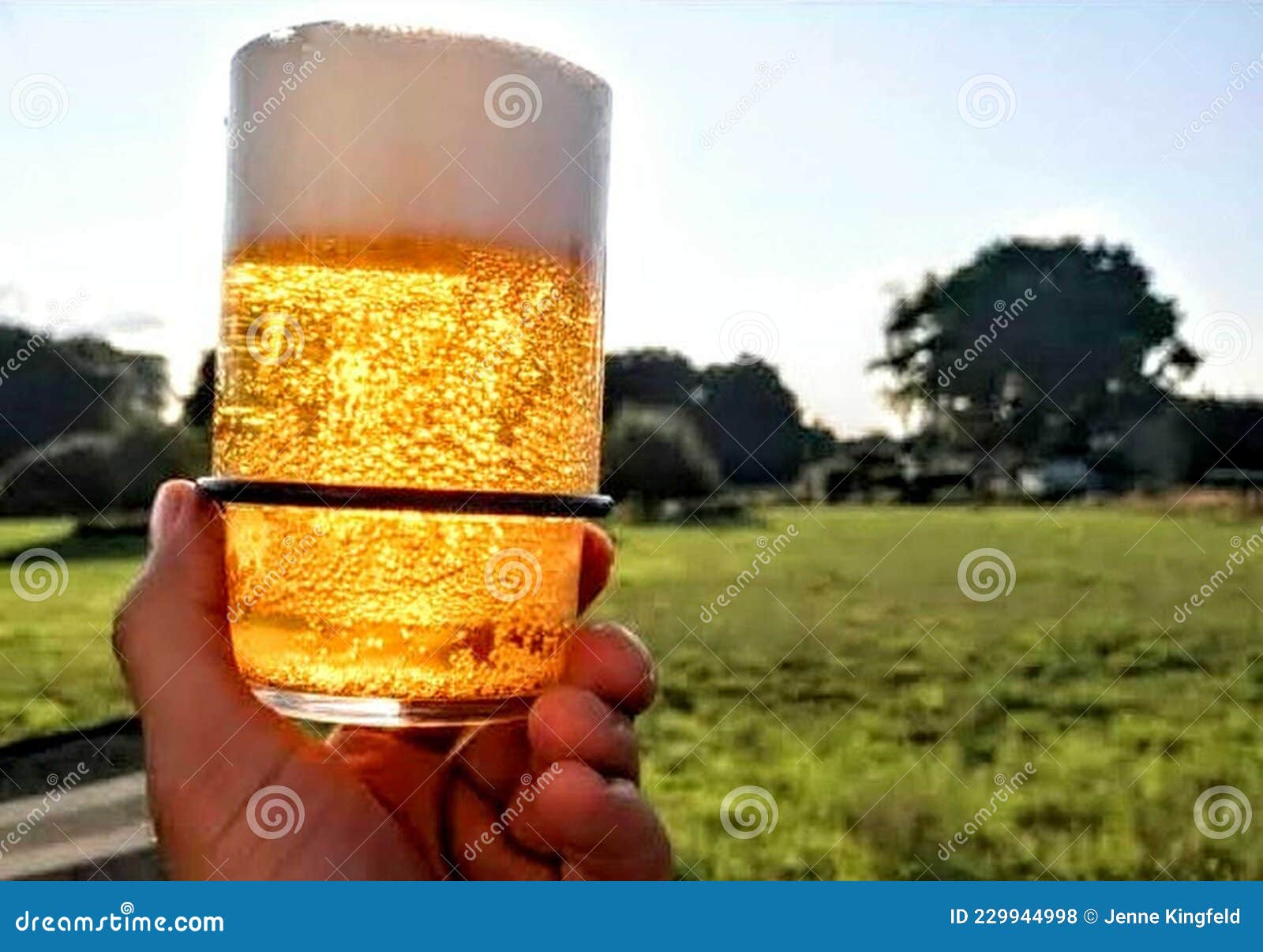 Cold Draught Pale Ale Beer in Sunny Nature Stock Photo - Image of ...