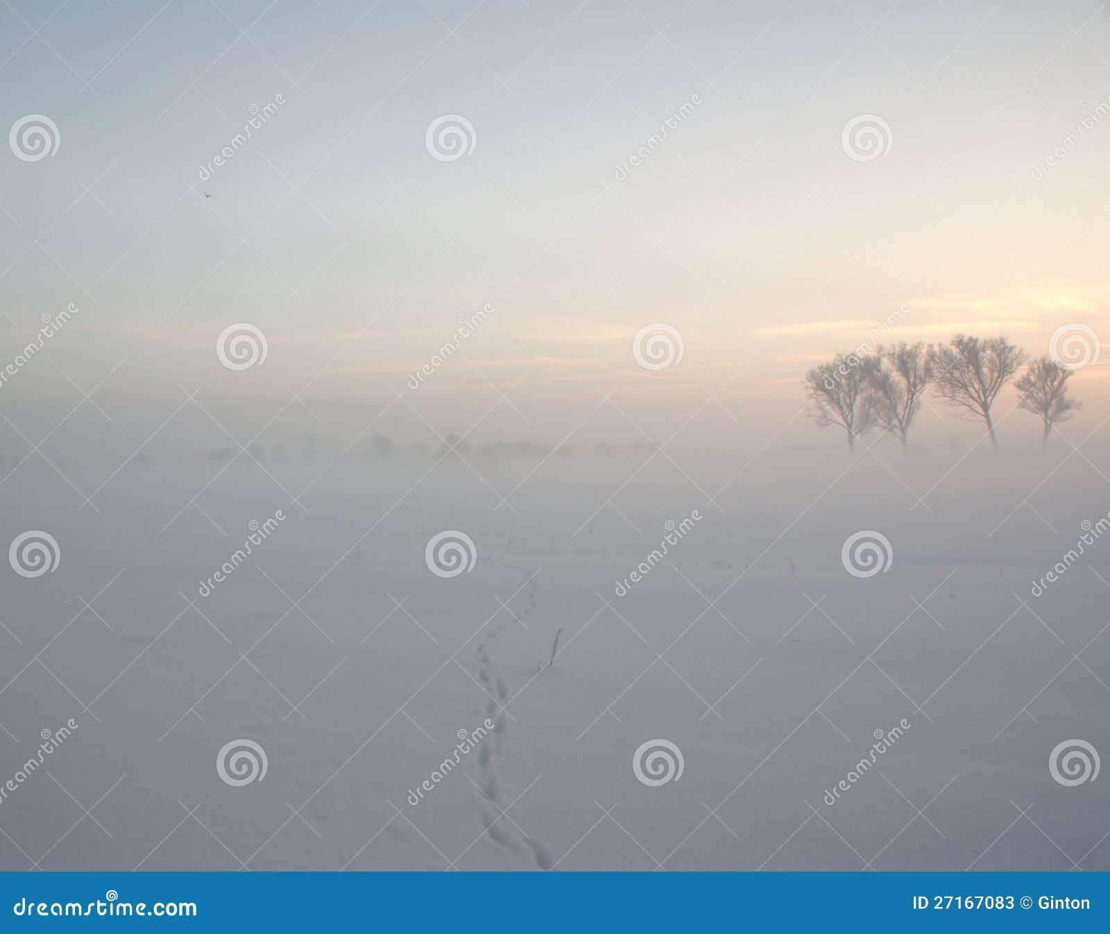 Cold dust stock image. Image of steps, delicate, winter - 27167083