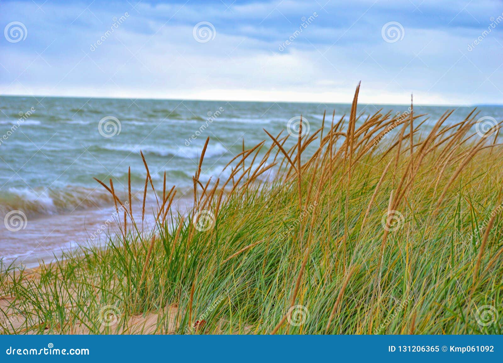Cold, fall day. stock image. Image of landscape, grass - 131206365