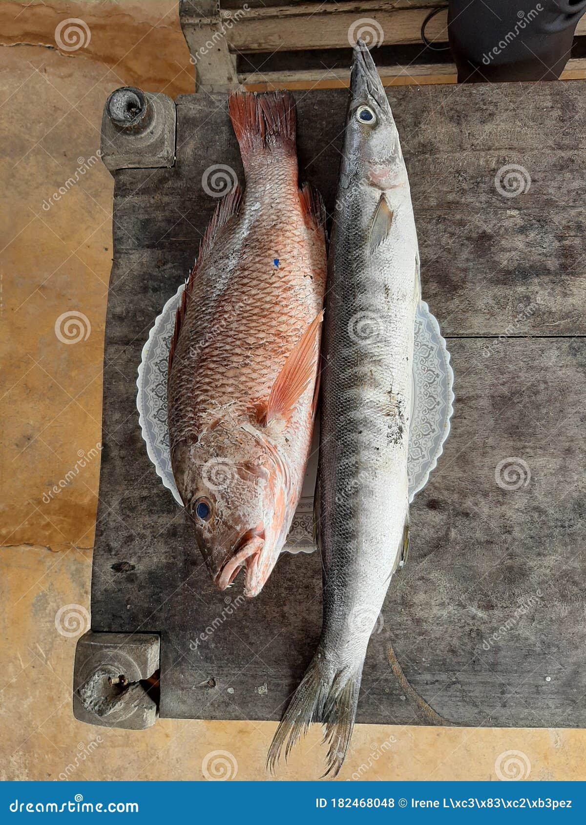 Cold fish without ice stock photo. Image of cold, fishing - 182468048
