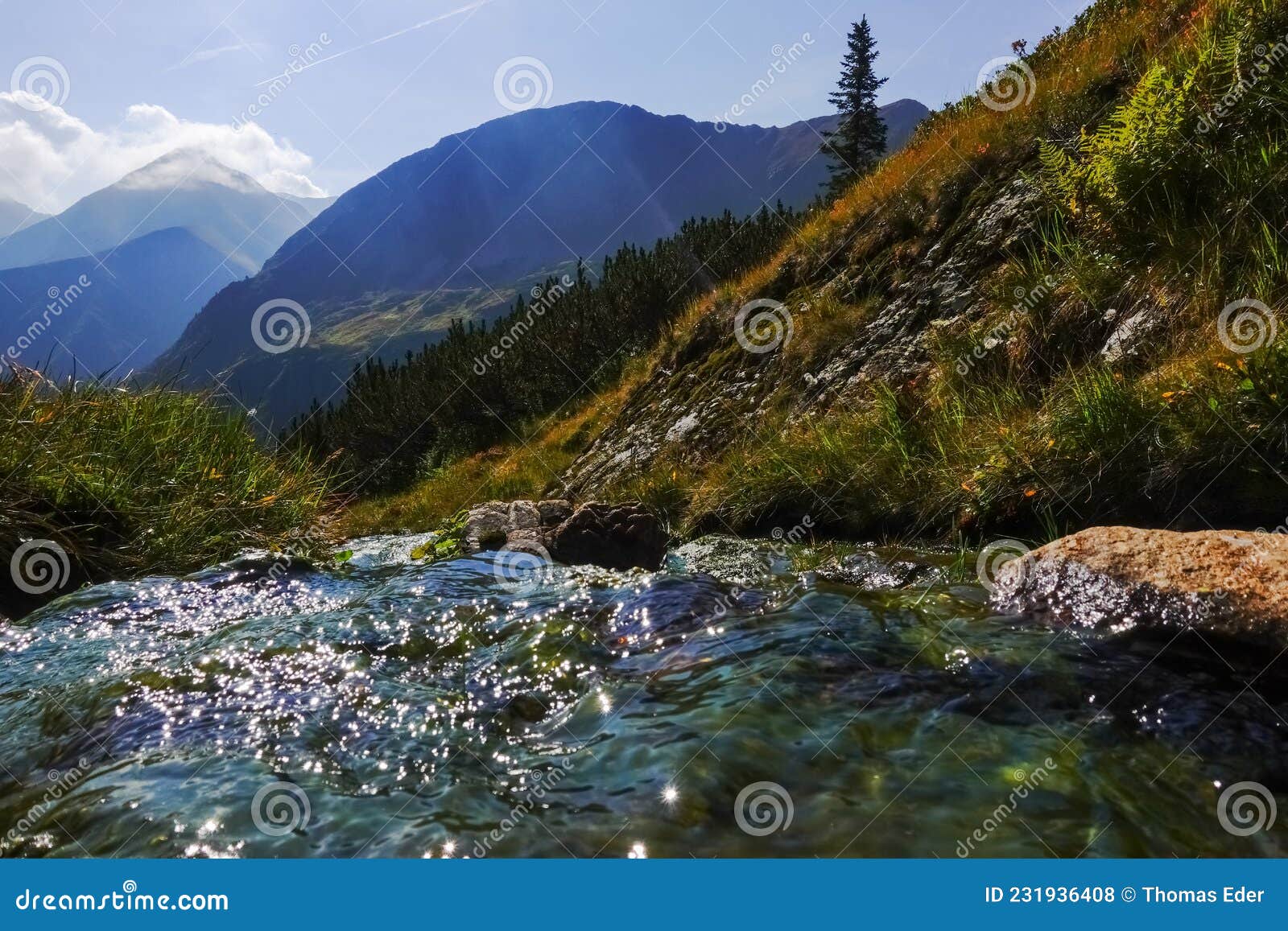 Cold Flowing Water while Hiking in the Mountains of Austria Stock Photo ...
