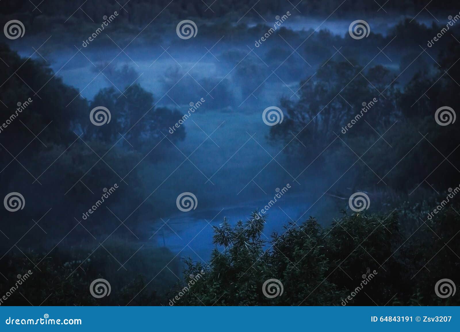 Cold Fog on Forest at Night in Moon Light Stock Image - Image of ...