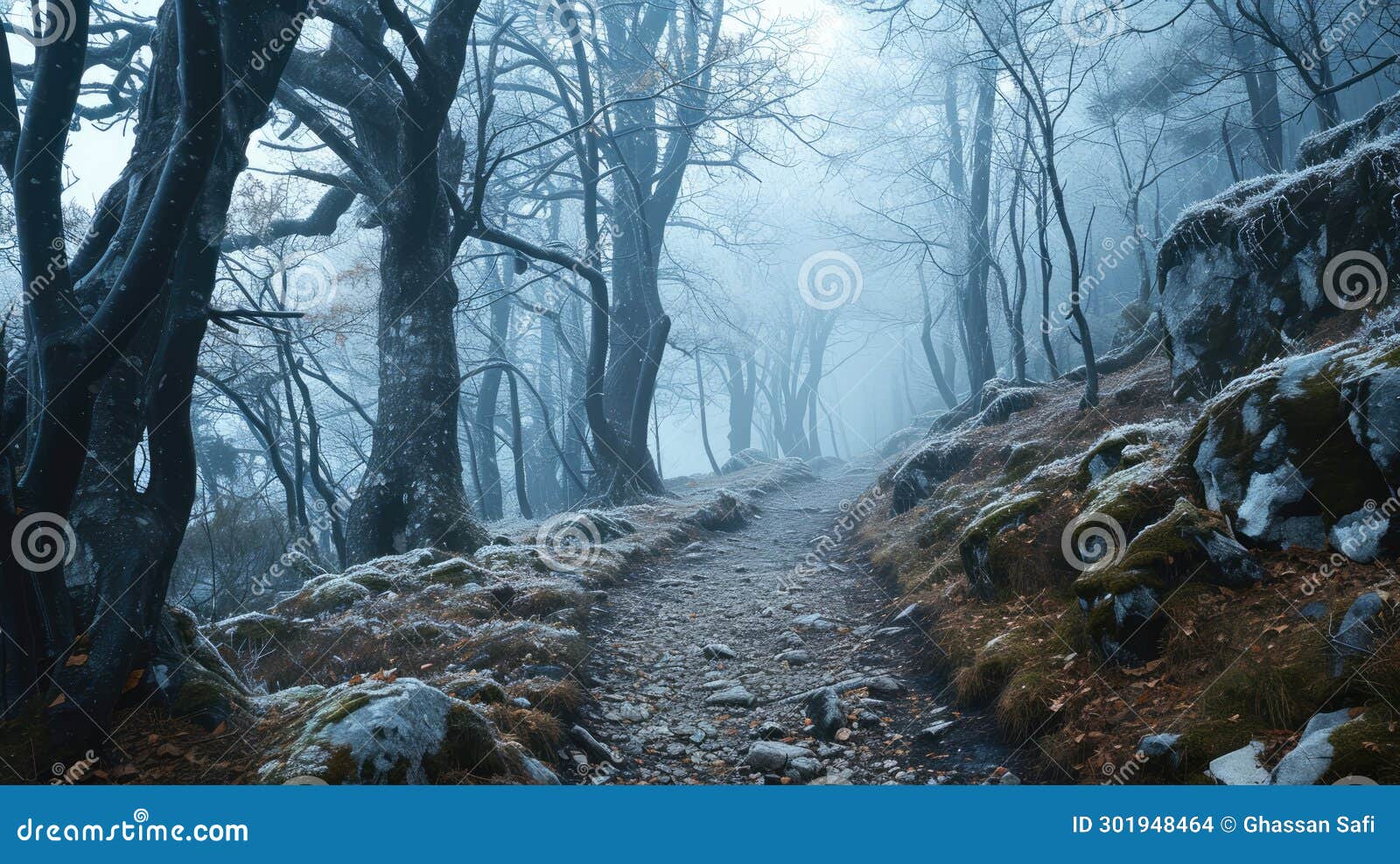 A Cold Freezing Path through a Dense Forest Stock Illustration ...