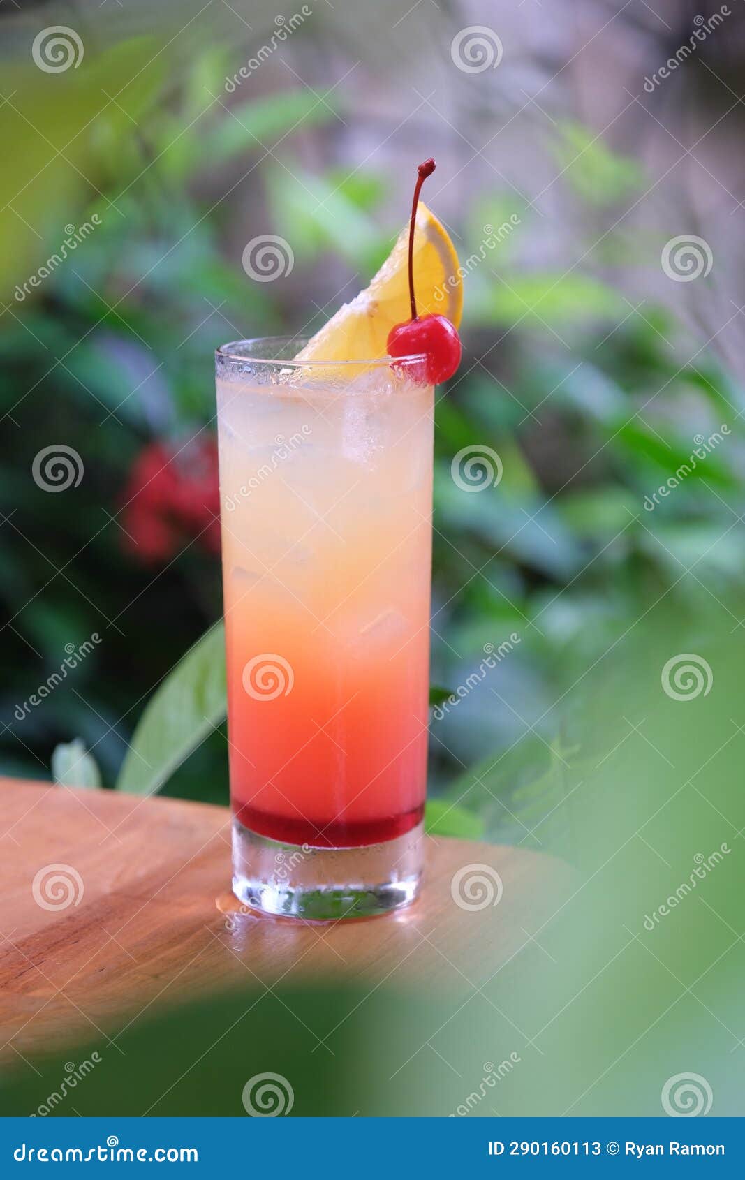 Cold Fresh Cocktail Mocktail Stock Image - Image of drink, citrus ...