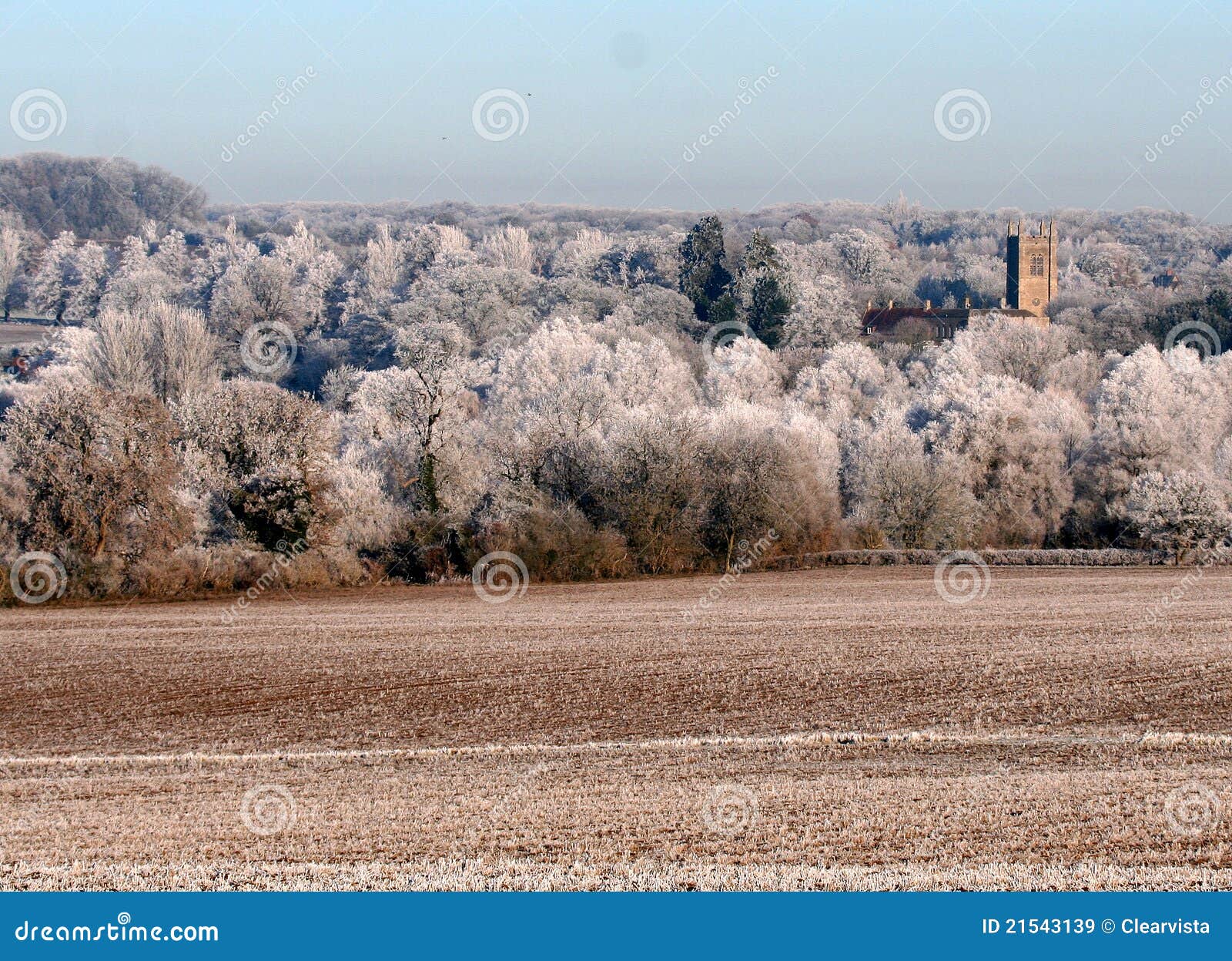 Cold and Frosty Morning, England. UK Stock Image - Image of serene ...