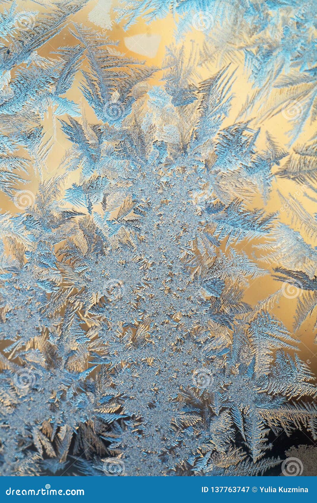 The Cold Frosty Texture Abstract Patterns. Stock Image - Image of ...