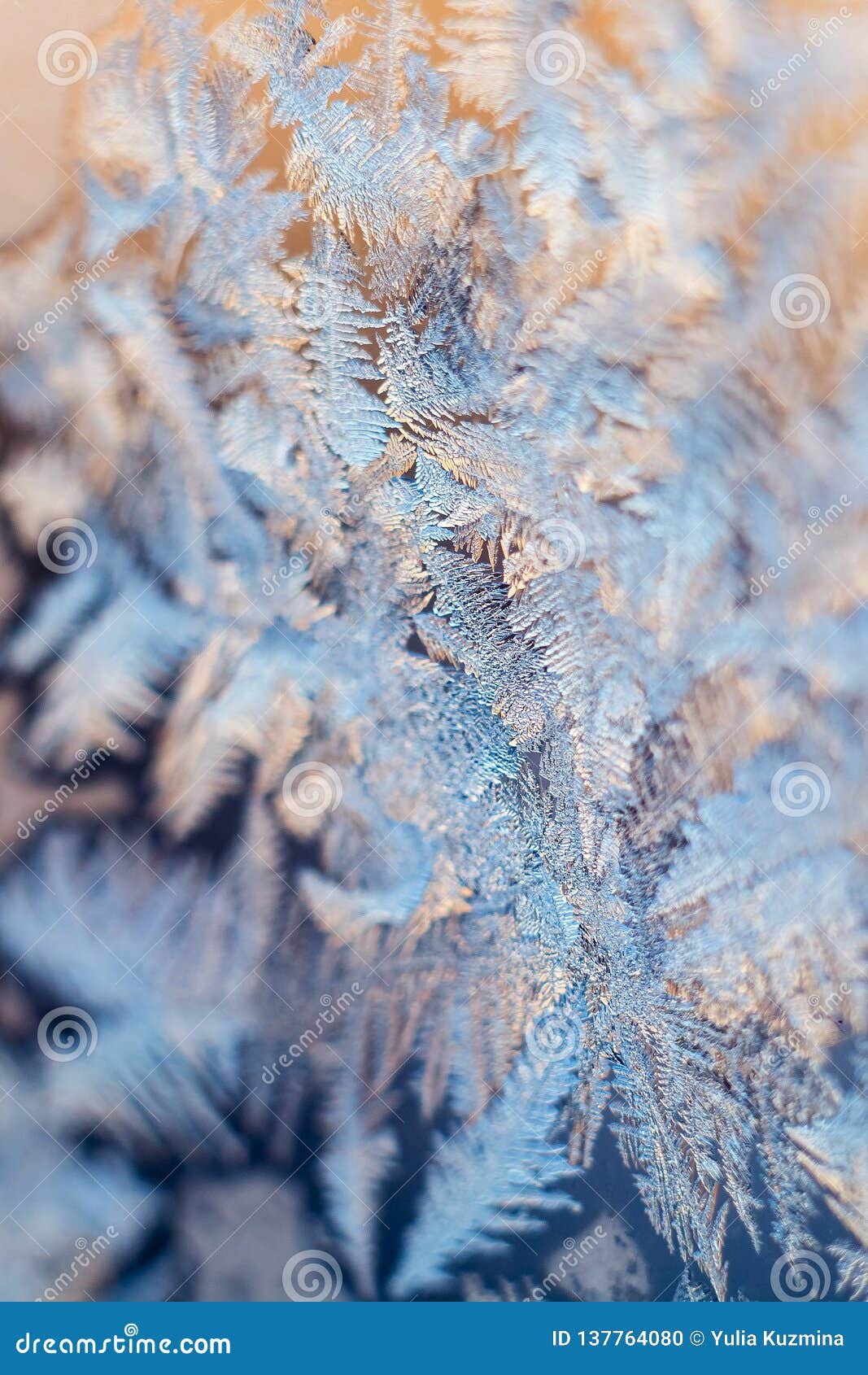 The Cold Frosty Texture Abstract Patterns. Stock Photo - Image of ...