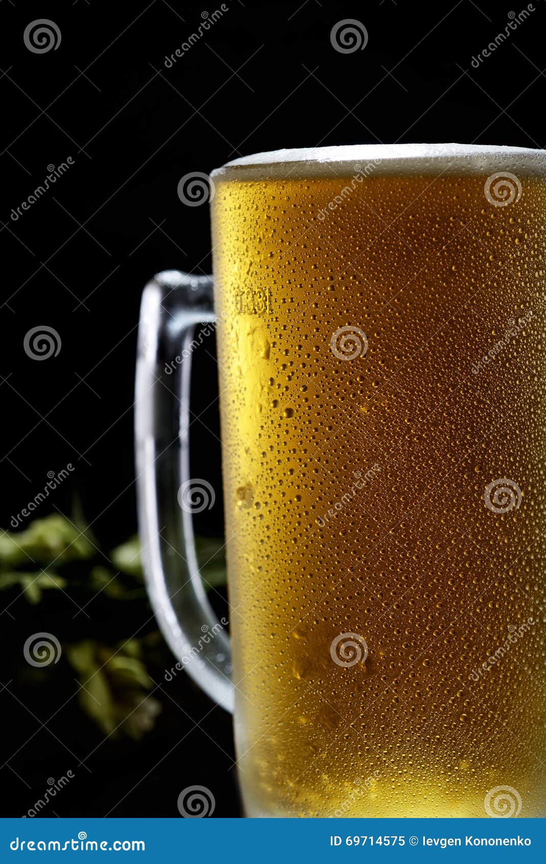 Cold Frothy Beer in a Glass and Hop on a Black Background Stock Image ...