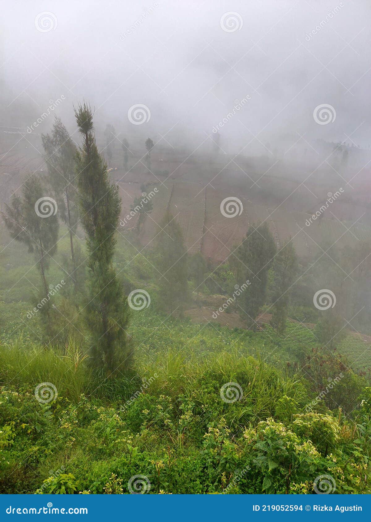 Cold green mountain stock photo. Image of forest, hill - 219052594