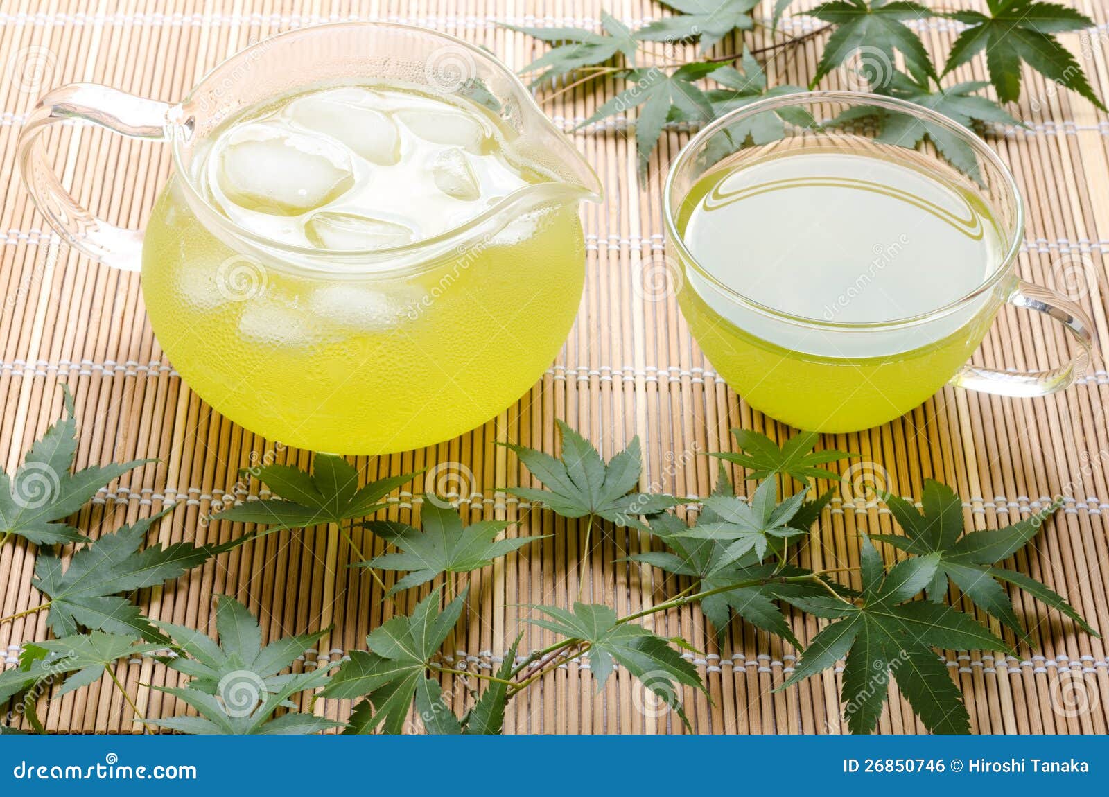 Cold green tea stock photo. Image of summer, cold, maple - 26850746