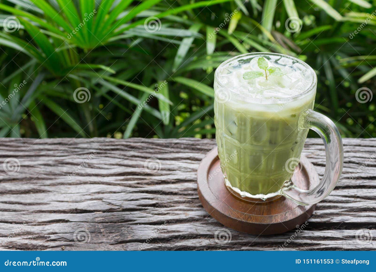 Cold Green Tea Milk Beverage or Cold Drinks Right Frame Stock Image ...