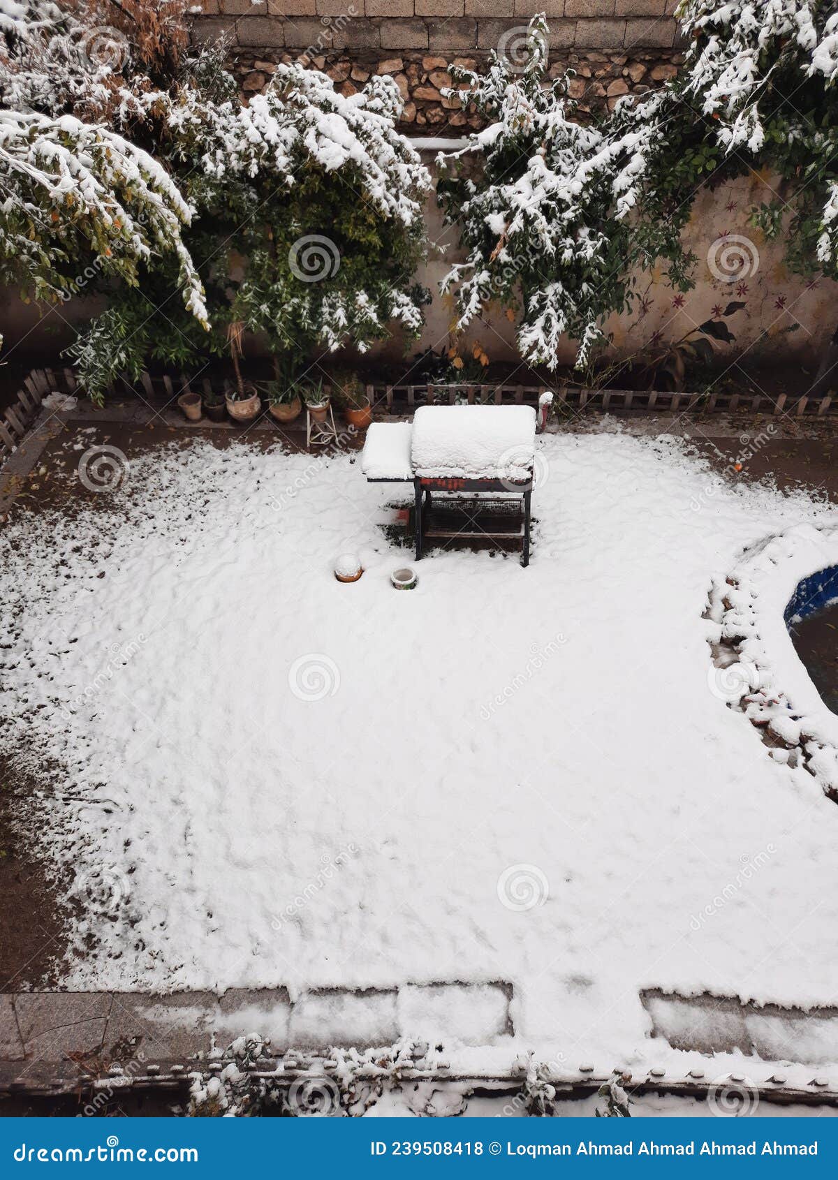 Cold grill and trees stock photo. Image of grill, cool - 239508418