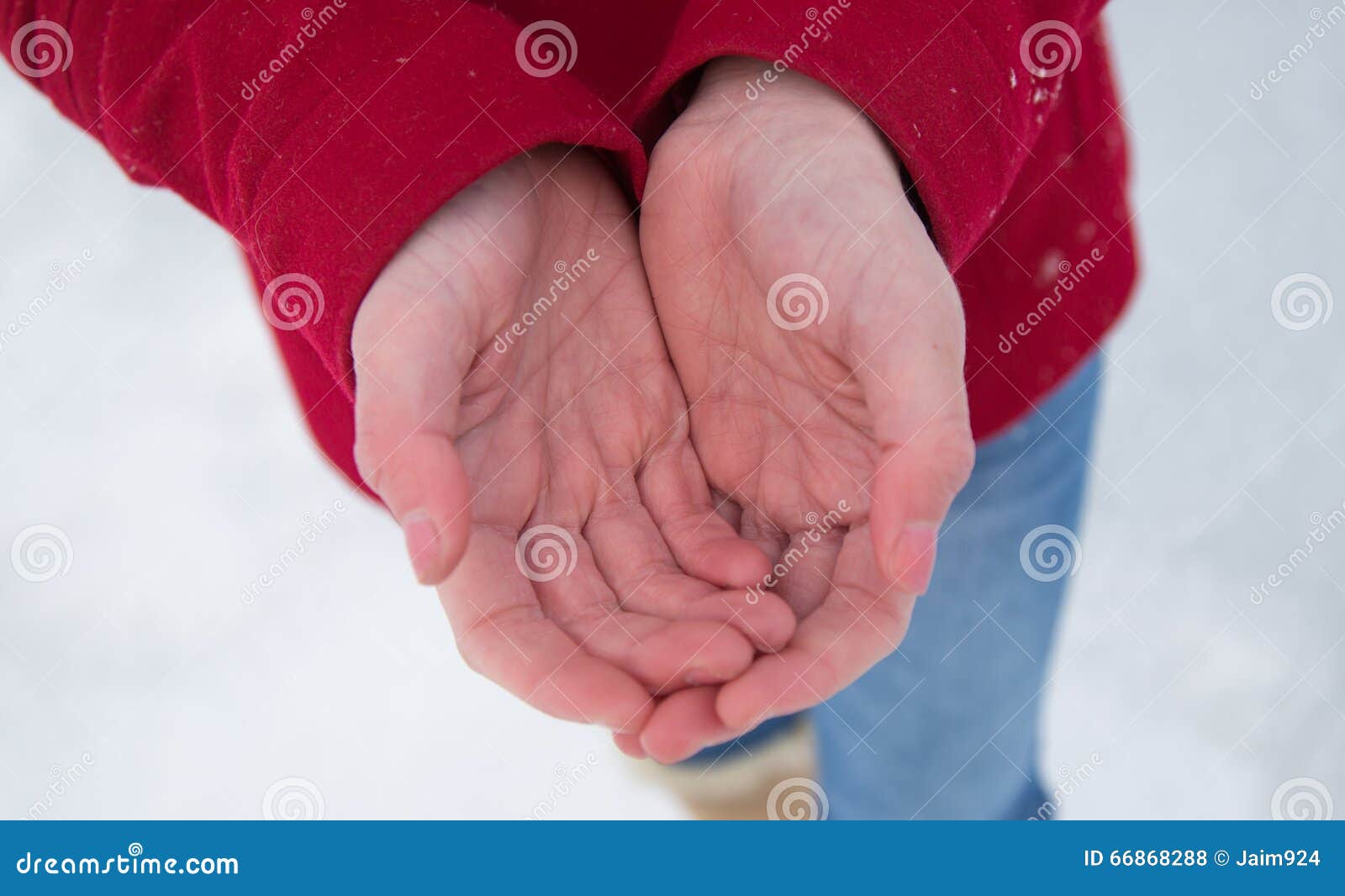 Cold hands stock photo. Image of flow, active, snow, poor - 66868288