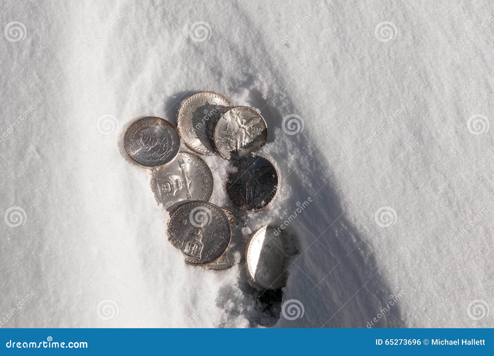 Cold Hard Cash - Silver Coins in Snow Stock Photo - Image of value ...