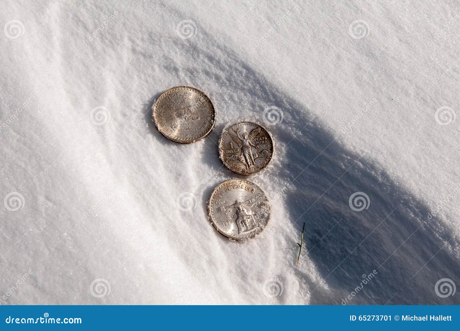 Cold Hard Cash - Silver Coins in Snow Stock Image - Image of snow ...