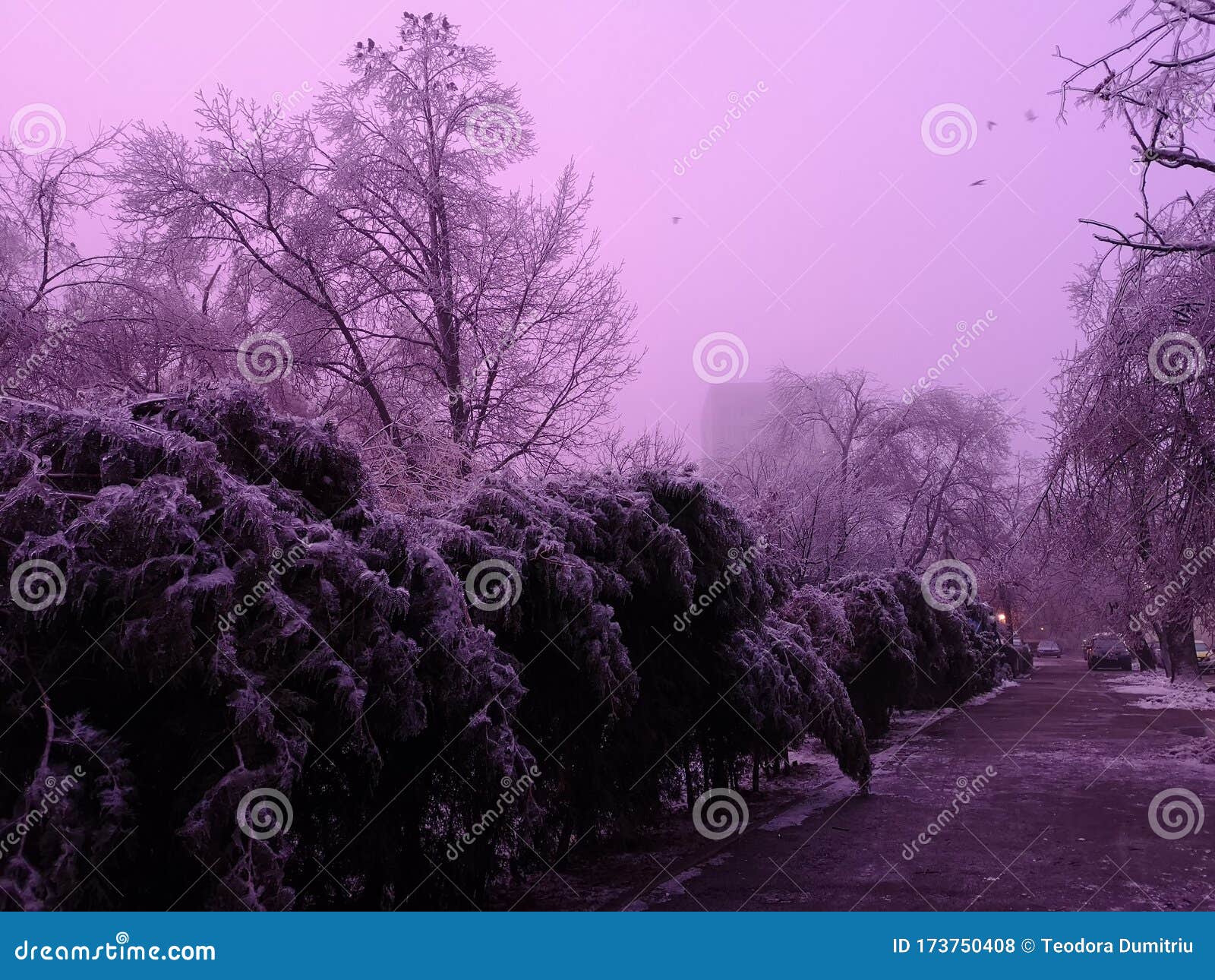 Hazy morning stock photo. Image of sunrise, nofilter - 173750408