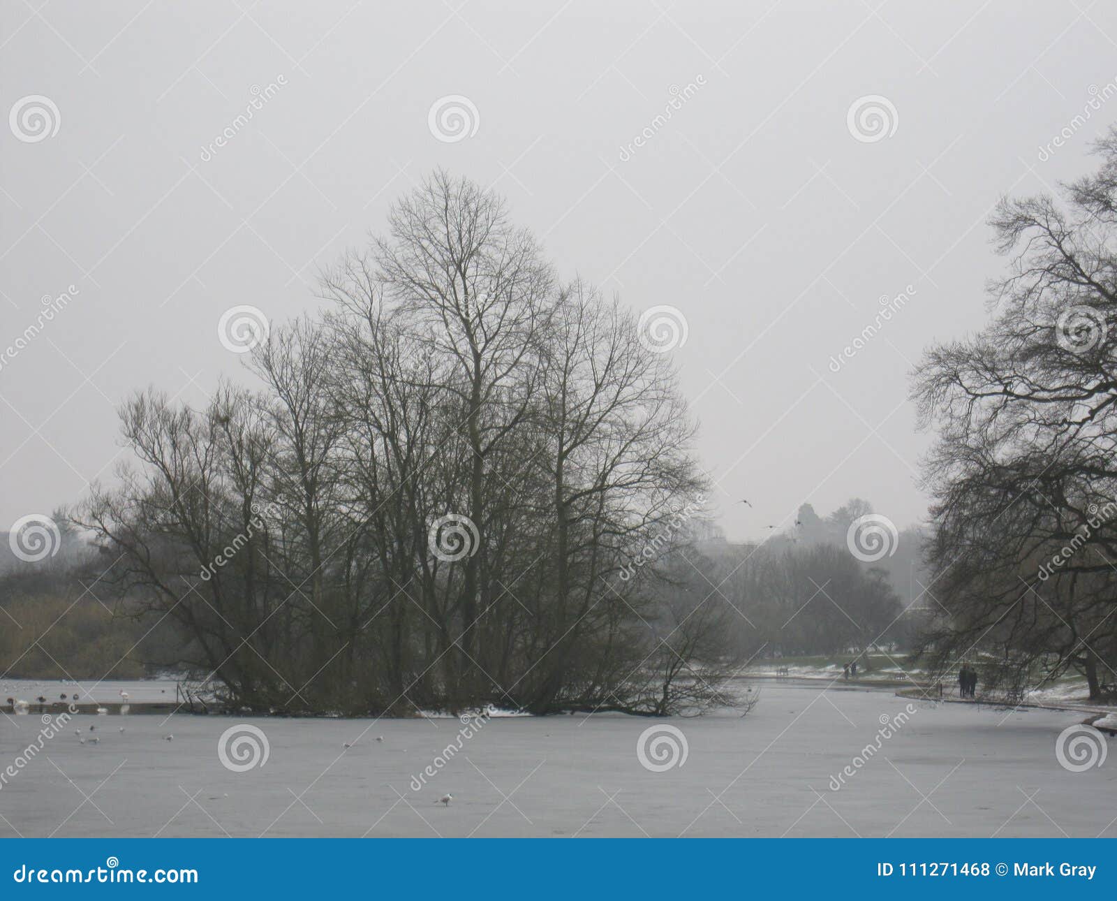 Cold Island stock photo. Image of snow, winter, island - 111271468