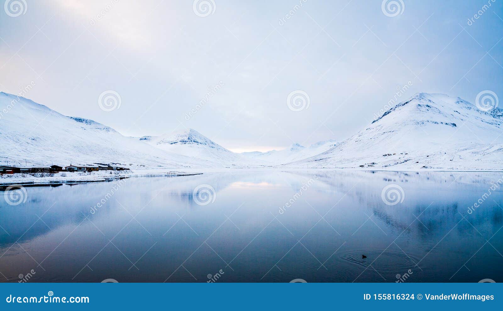 Cold Lake in Rural Iceland during Winter Stock Photo - Image of snowy ...