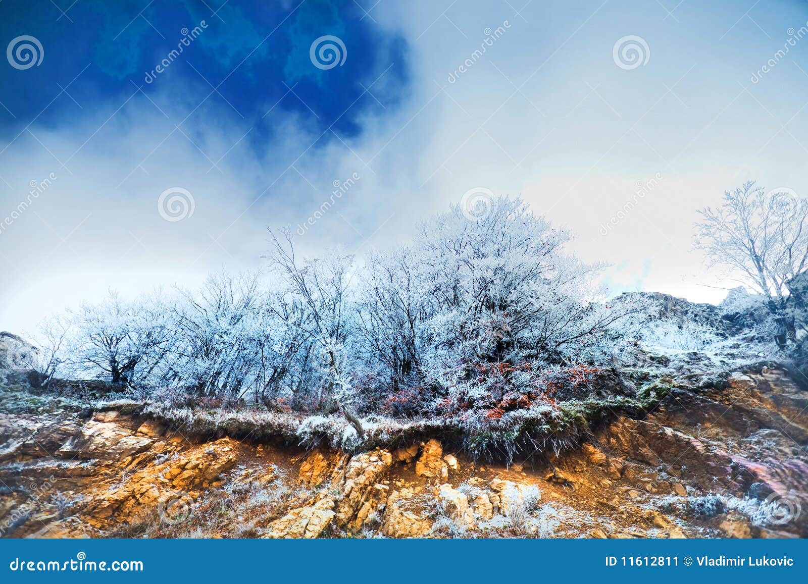 Cold landscape stock image. Image of beautiful, foliage - 11612811