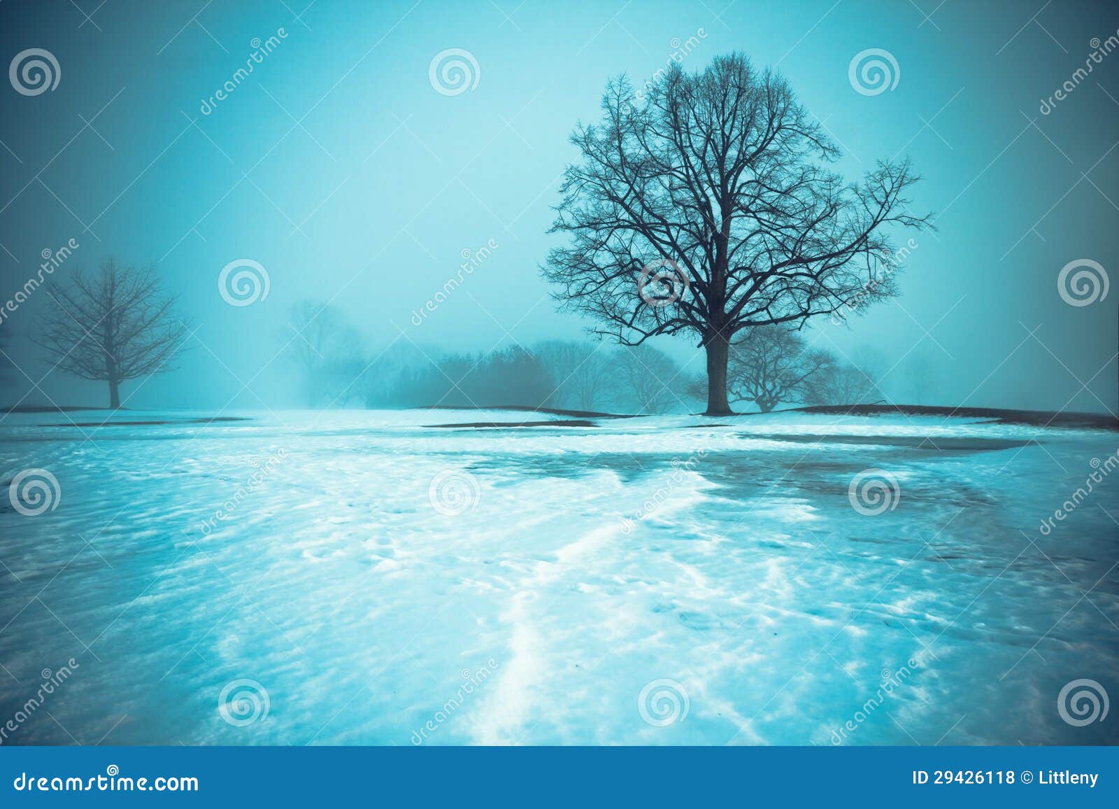 Cold Landscape stock photo. Image of january, haze, december - 29426118