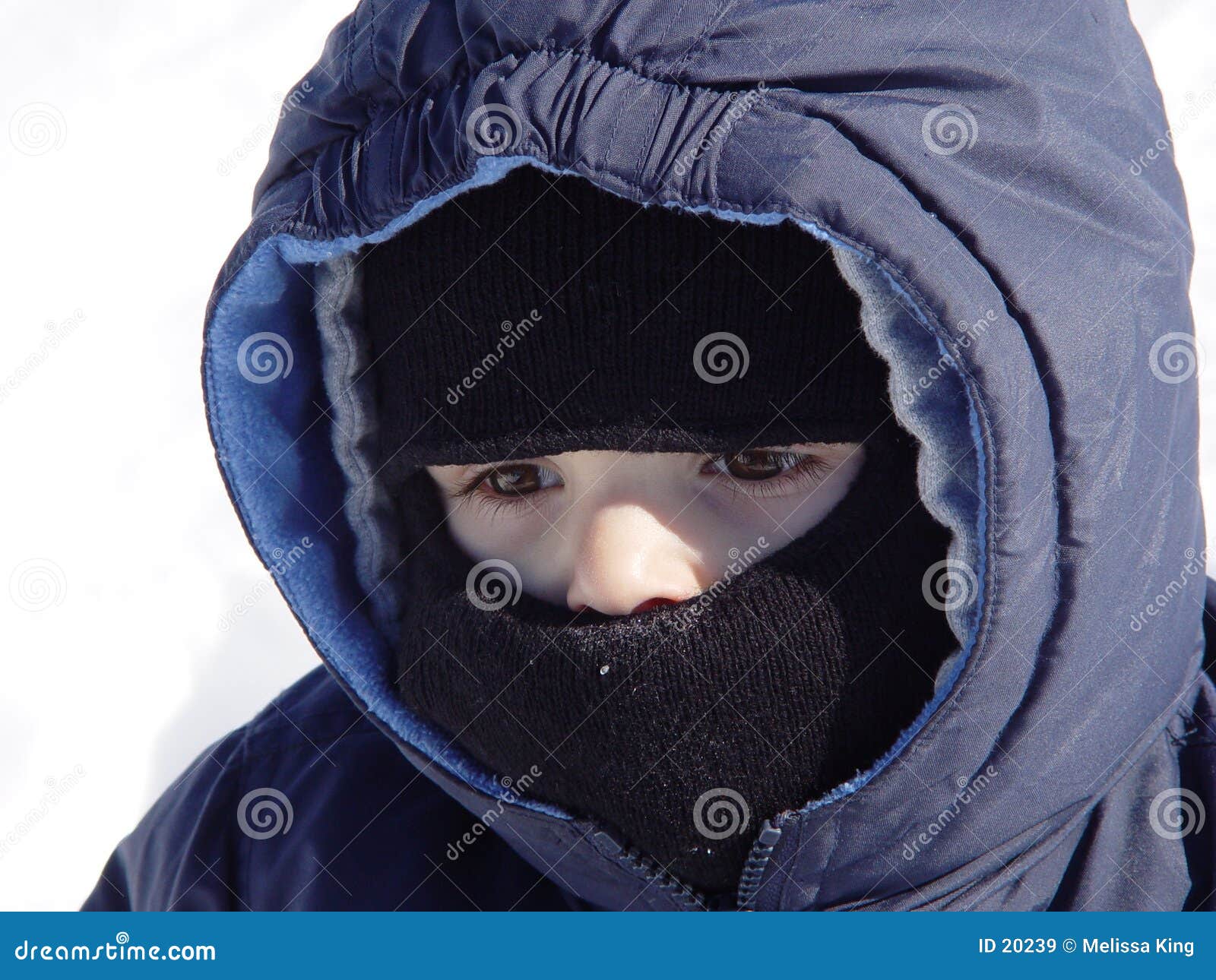 Cold Little Boy stock image. Image of weather, boys, concepts - 20239